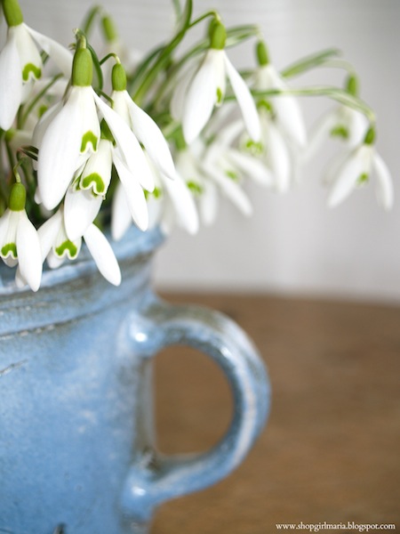 Spring Snowdrop Centerpiece | A Homemade Living