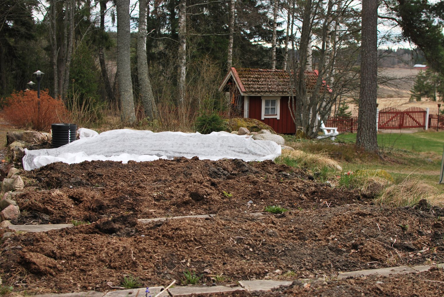 Muonamiehen mökki: Kasvimaan kevät