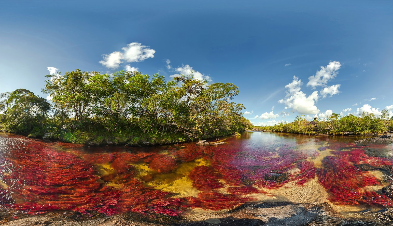 Let's enjoy the beauty: Cano Cristales :The River of Five Colors ( The ...