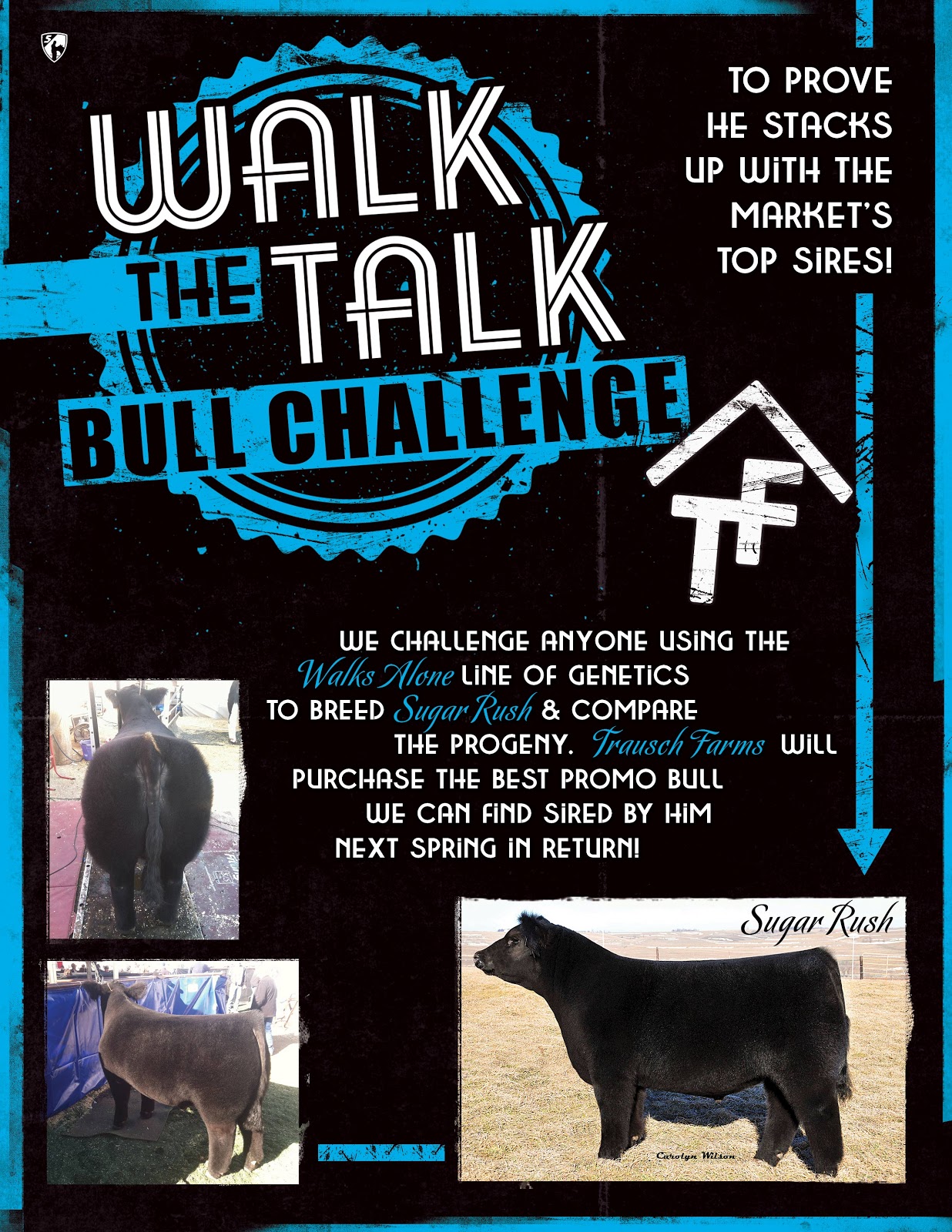 Trausch Farms: Check This Out!!