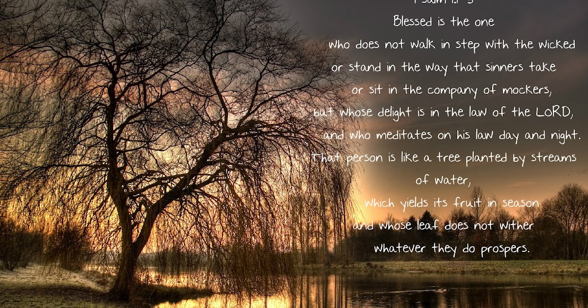 Living for God: Blessed Life Lives in God's Word