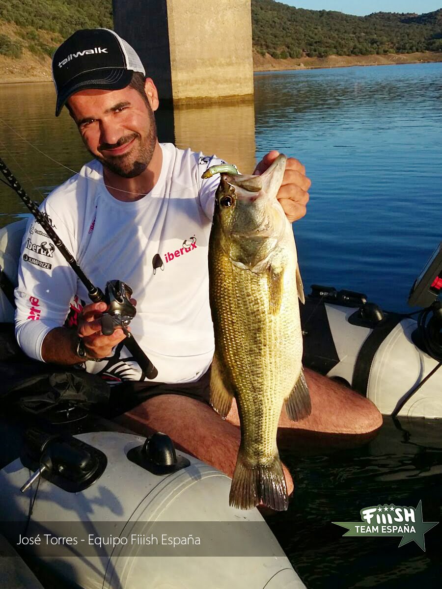 Como pescar Black Bass en vertical con Black Minnow | el pez rosa