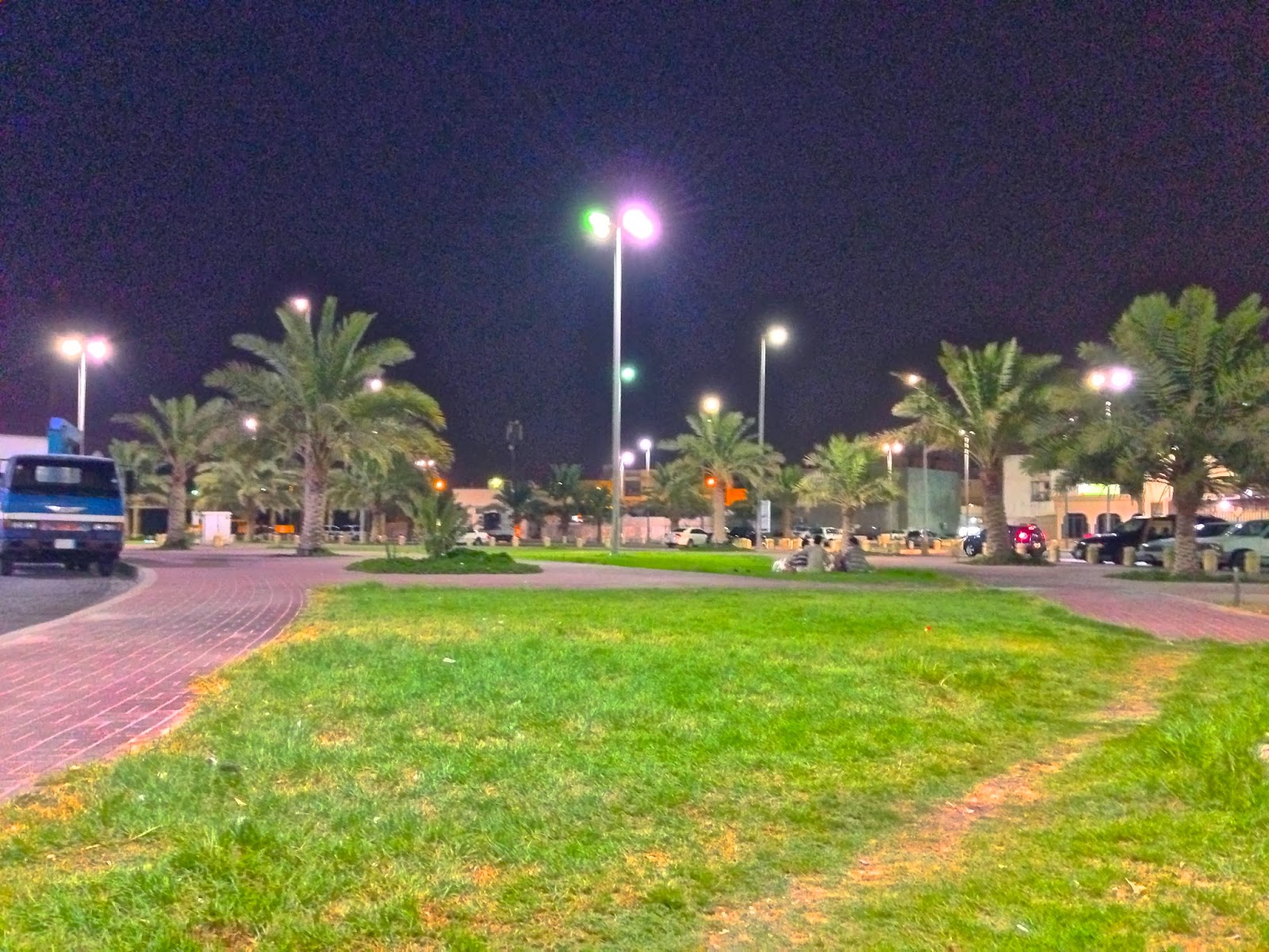 Arabian Anthropology: Qatif's Heritage & Environment in the Last 50 ...