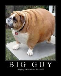 Big Guy vs Little Guy.. lol ~ alzicx