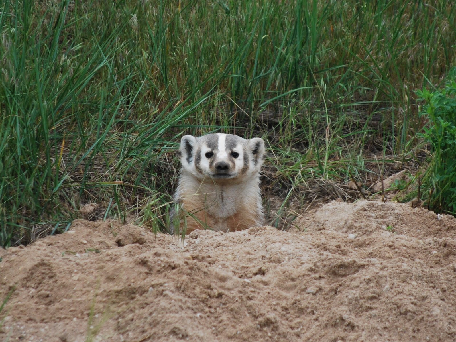 Sám so sebou medzi ľuďmi
