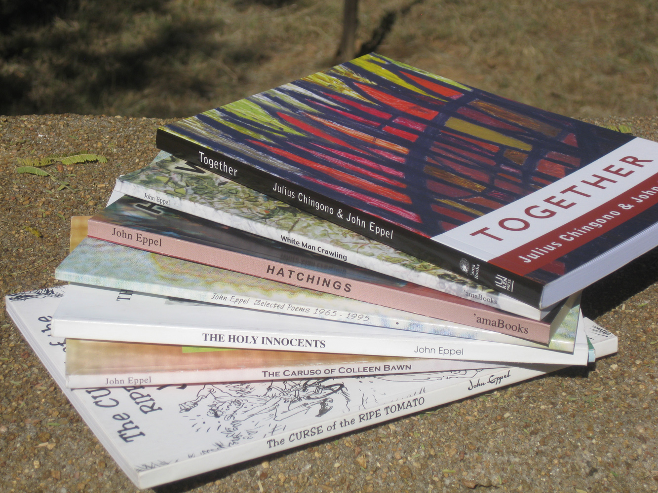 amaBooks: Another Award for John Eppel