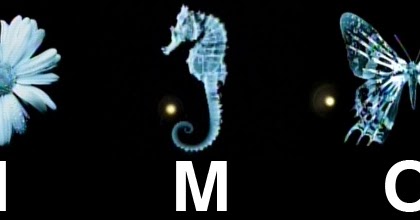 Fringe Glyph Code in "The Consultant" ~ Fringe Television - Fan Site ...