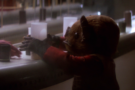 Calypso 1577: L'Eperon de Celanon