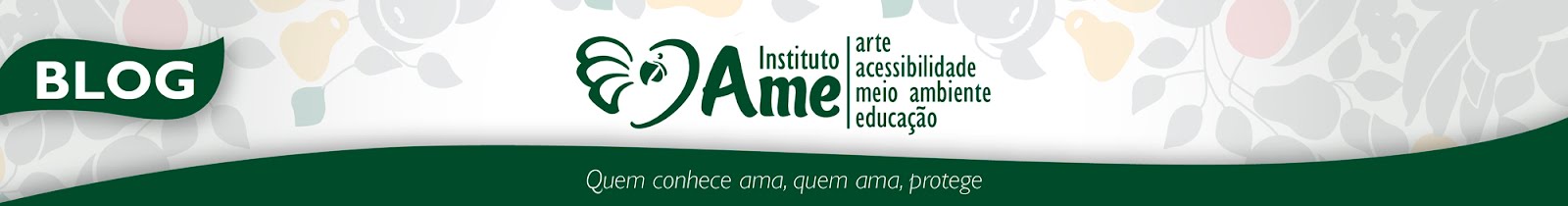 INSTITUTO AME