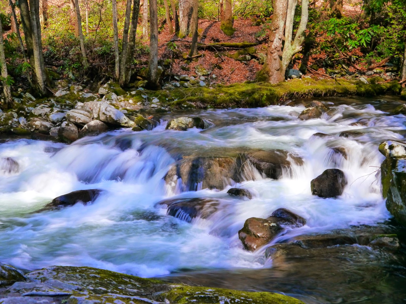 American Travel Journal: Little River Trail - Great Smoky Mountains ...