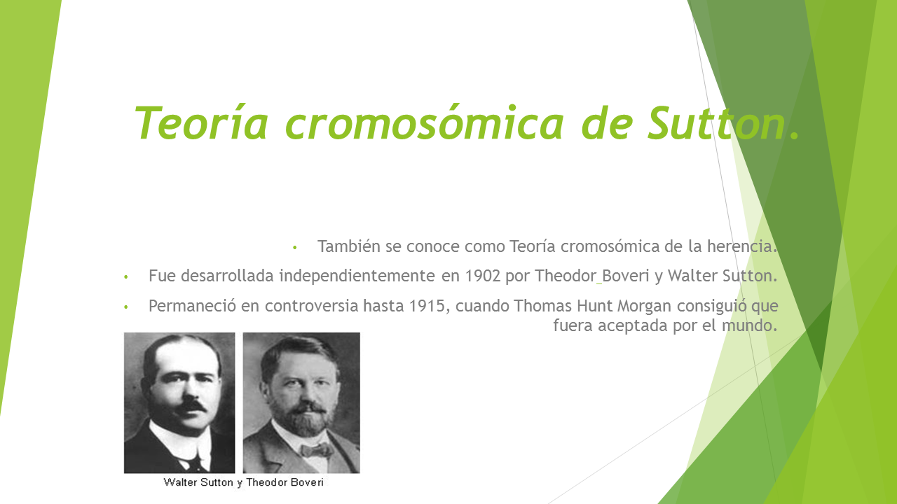 BIOLOGÍA II: Teoria Cromosomica De La Herencia