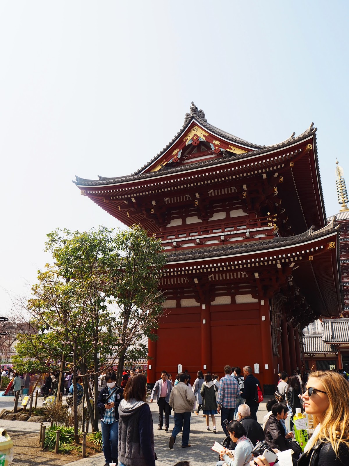 5 Things to do in Tokyo | IntheFrow | Bloglovin’
