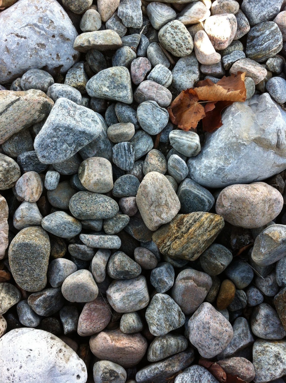 Book Reviews and More: Photo's of Some Rocks