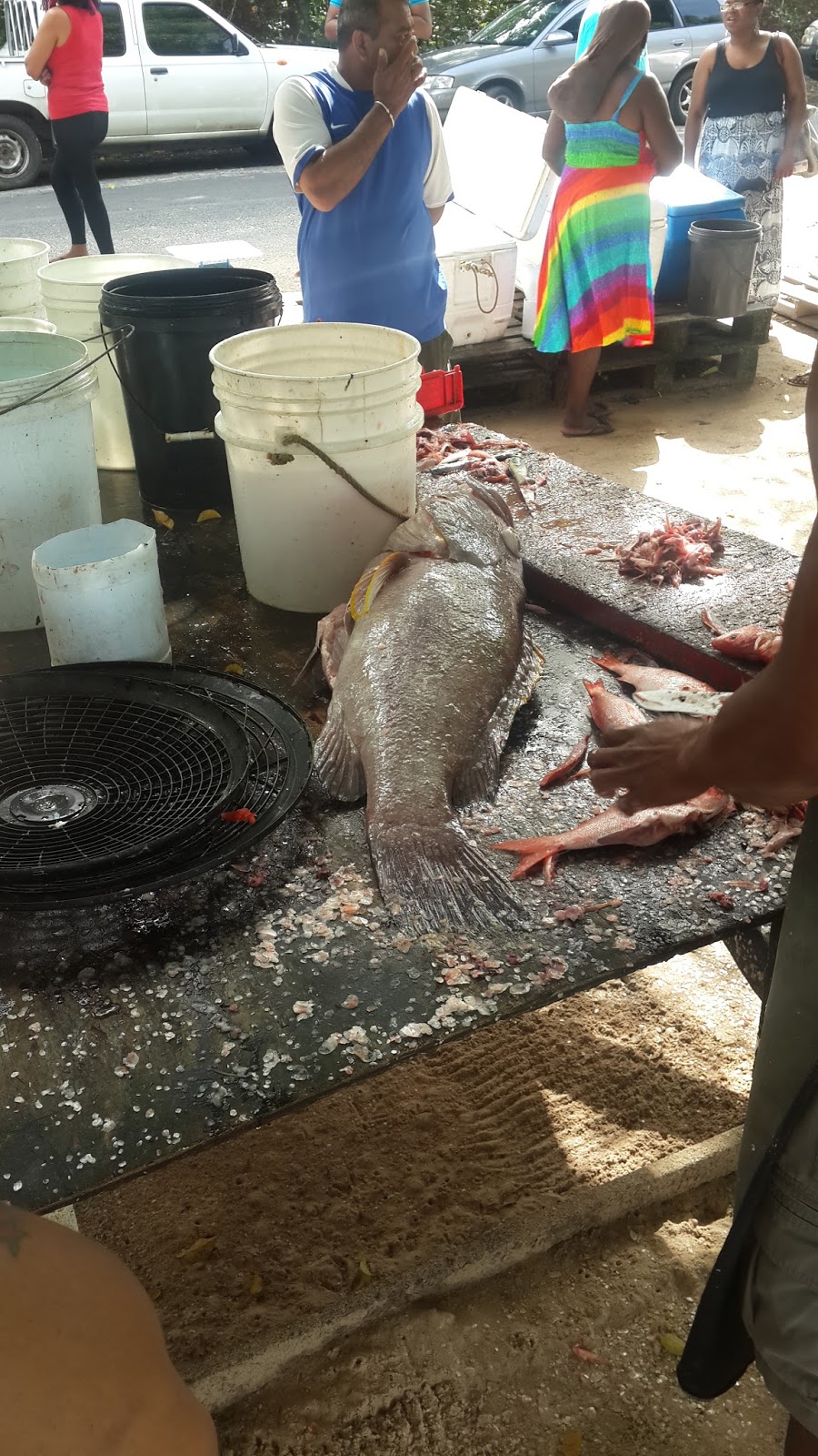 Trini Men are the Best Cooks: Grouper Tobago Style