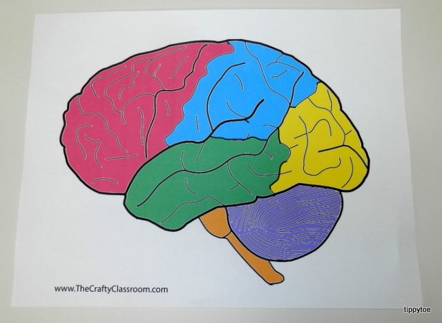 Tippytoe Crafts: Brain Puzzles