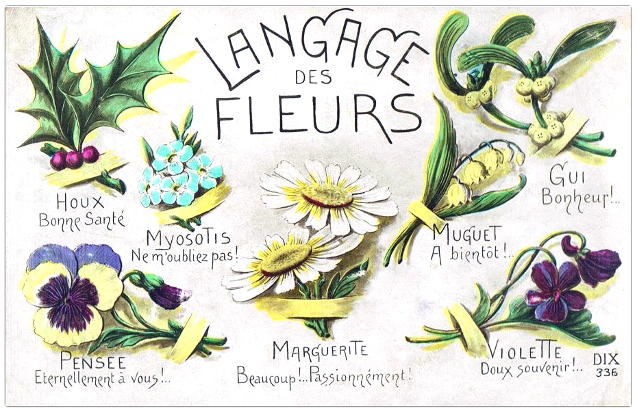 langage des fleurs