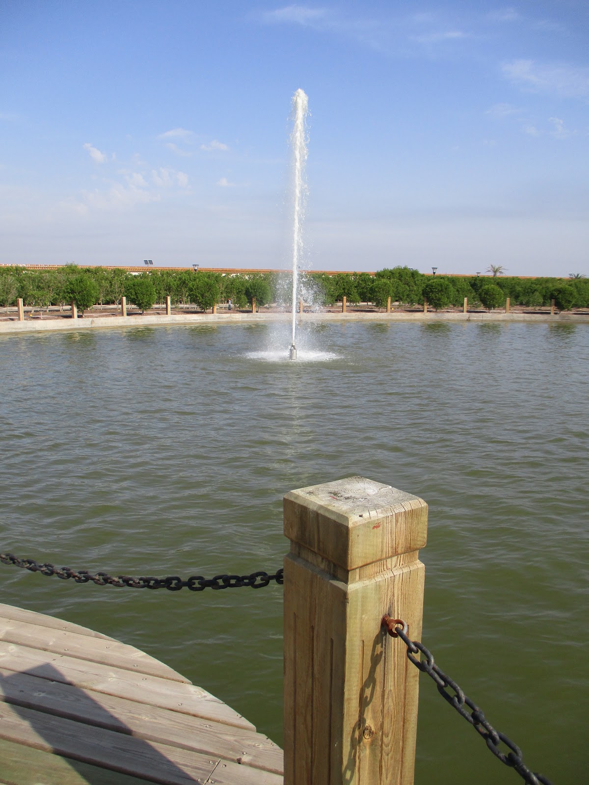 Go with Henry: Living on an oilfield base camp