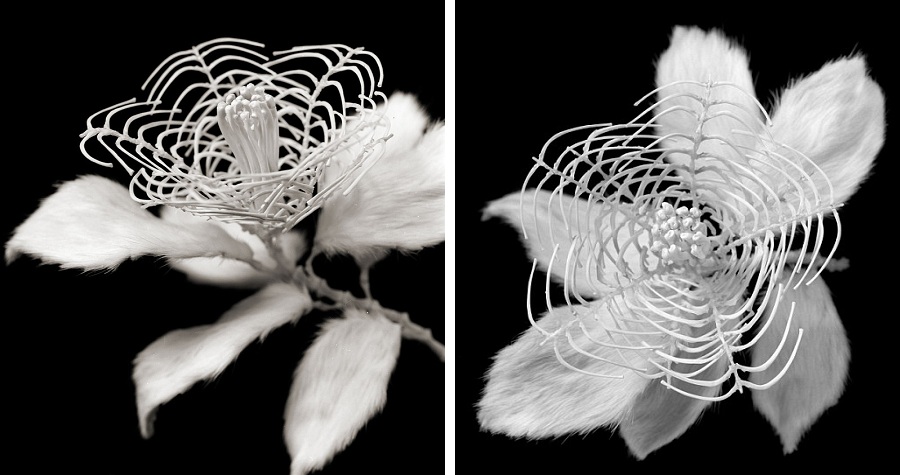 Simply Creative: Animal Bone Flowers by Hideki Tokushige