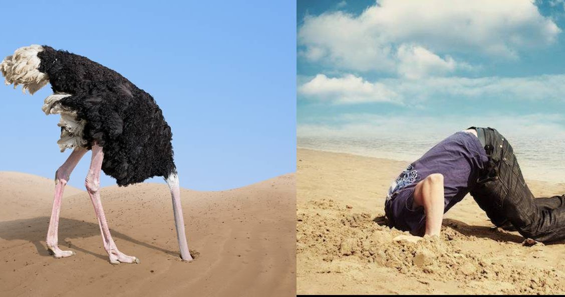 Nectar of Life: Ostrich Syndrome