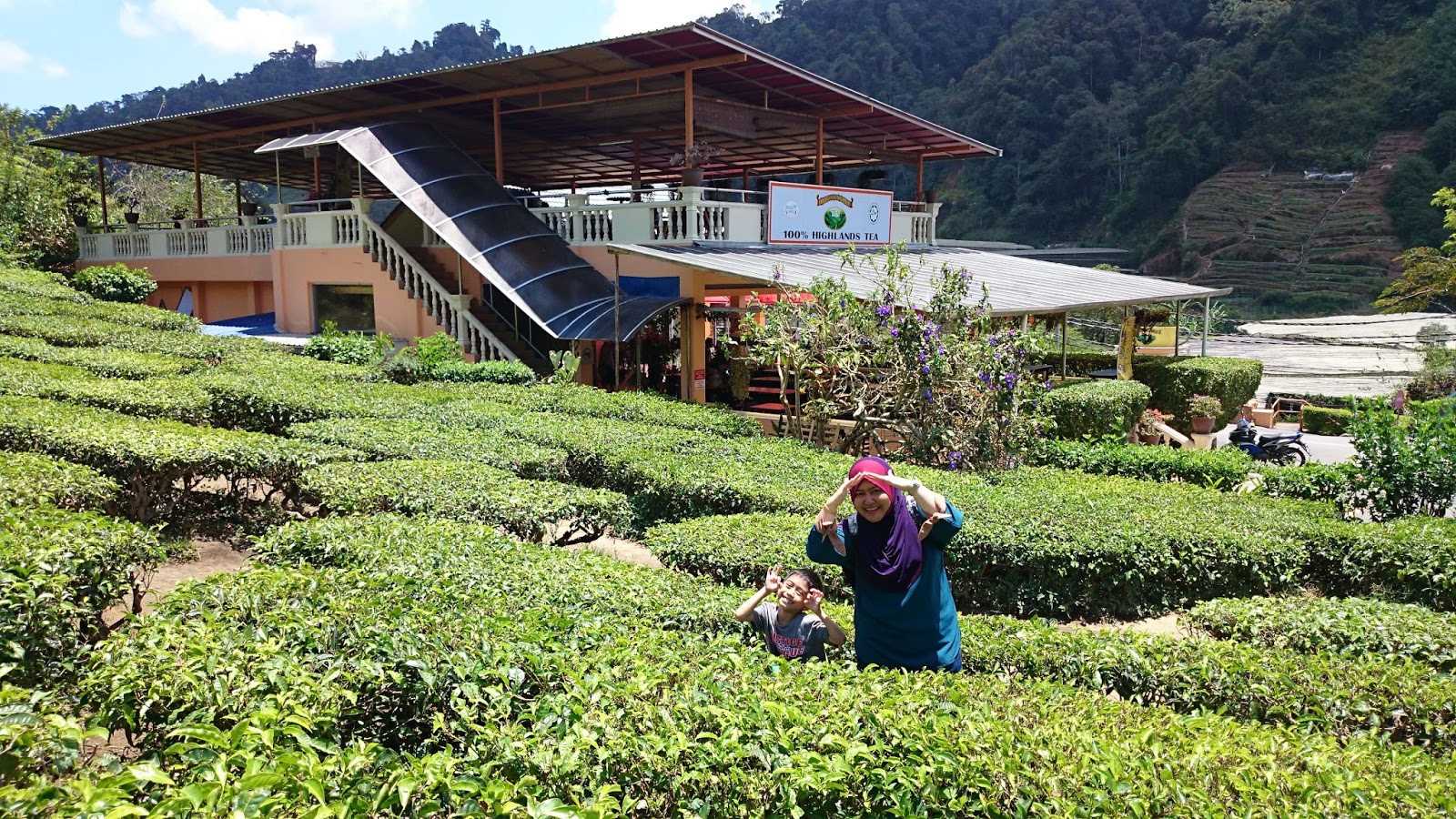 Today BAHAGIA: CAMERON VALLEY TEA HOUSE, CAMERON HIGHLAND
