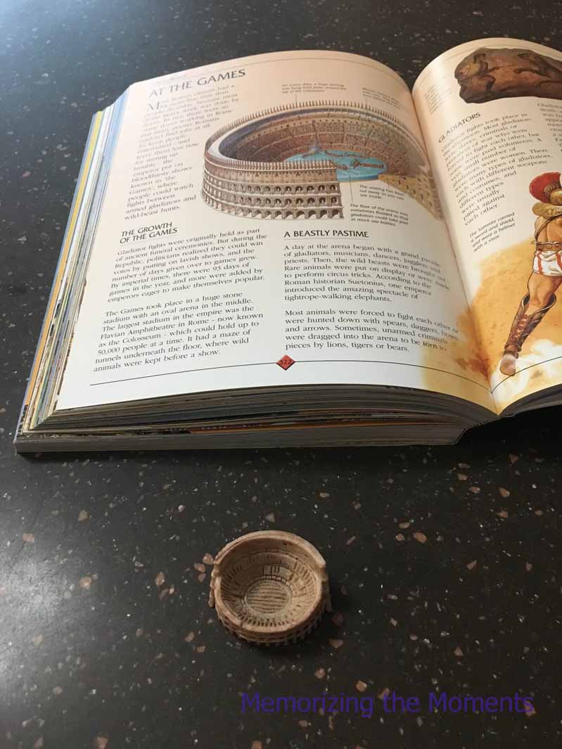 Memorizing the Moments: Cookie Colosseum