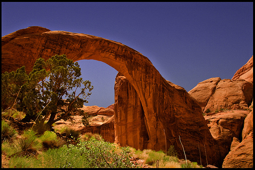 All Fun Here: Rainbow Bridge Utah Trail Largest Natural Arch In The World