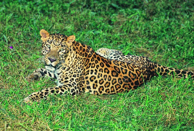 Places to visit in Bihar: Kaimur Wildlife Sanctuary, Kaimur, Bihar ...