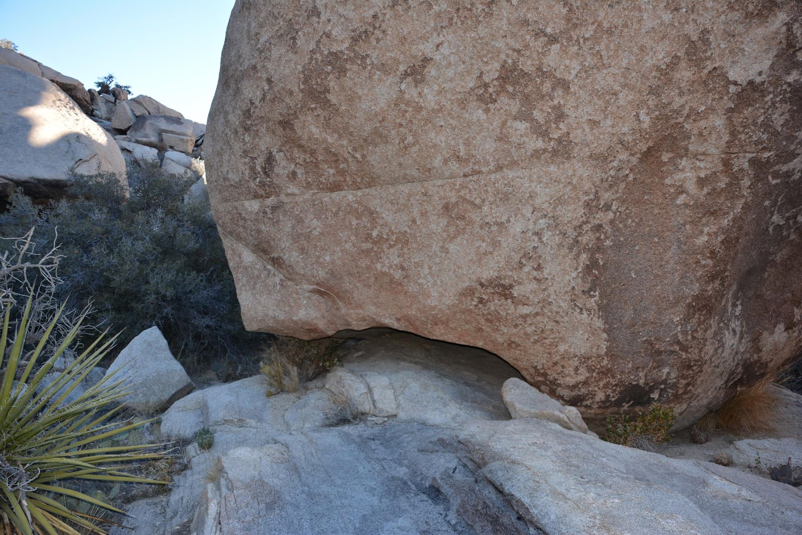 Patrick Tillett: Hollow Boulder Rock Art Site - Joshua Tree National Park