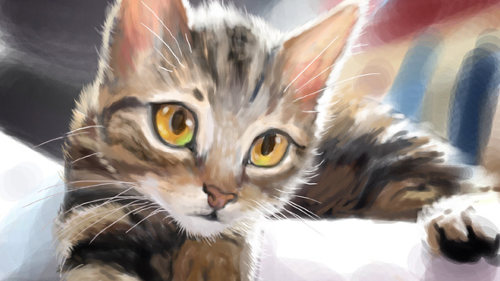 PintaMiMundo: SPEED PAINT CAT