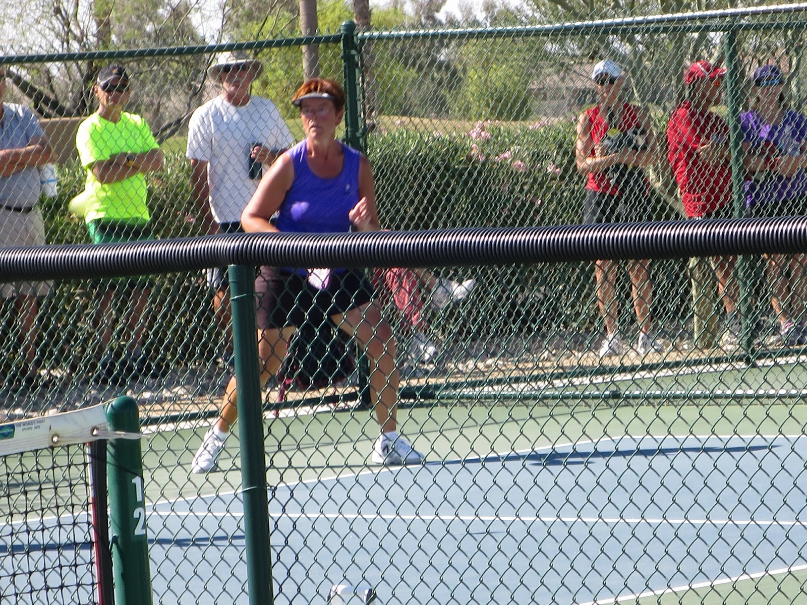 Robson Ranch Arizona Pickleball Club: Pickle Ball Photos