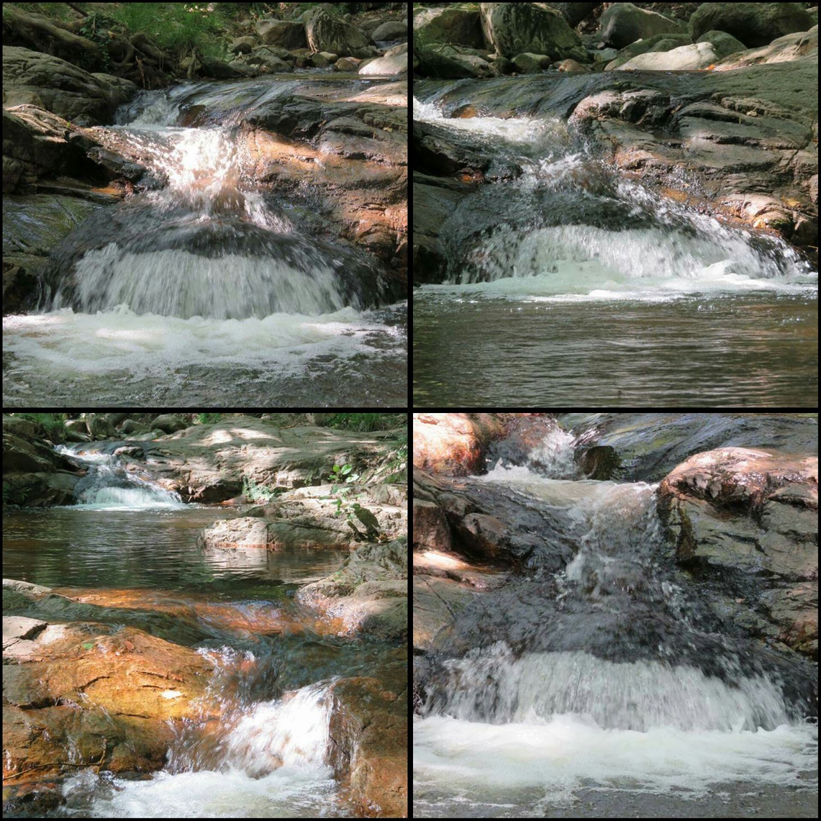 PARC MEDIAMBIENTAL DE GUALBA