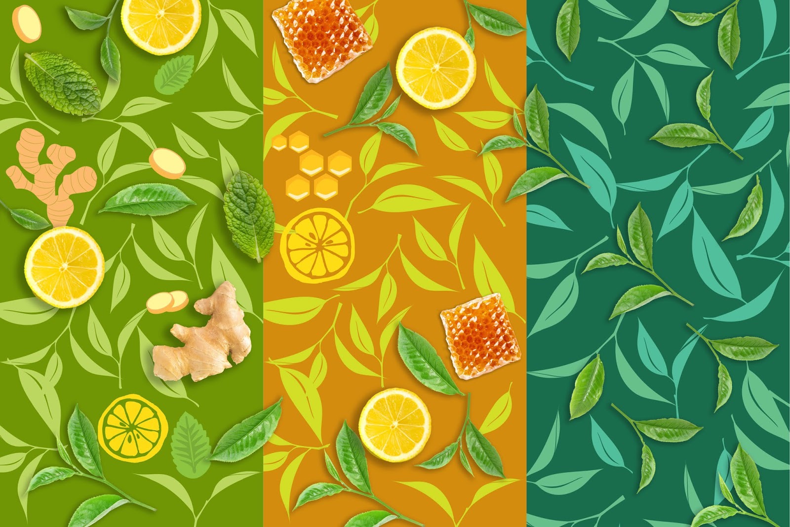 FABSTA – Packaging Of The World