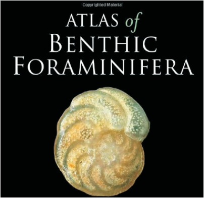 Atlas of Benthic Foraminifera | Ebook Geologi