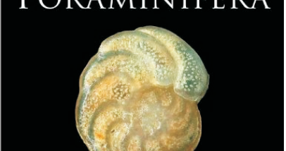Atlas of Benthic Foraminifera | Ebook Geologi
