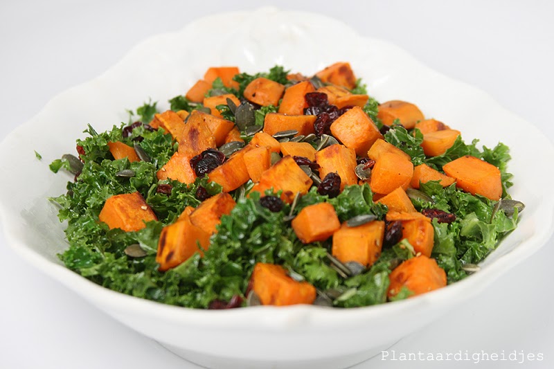 Salade met boerenkool, zoete aardappel en cranberries | Plantaardigheidjes