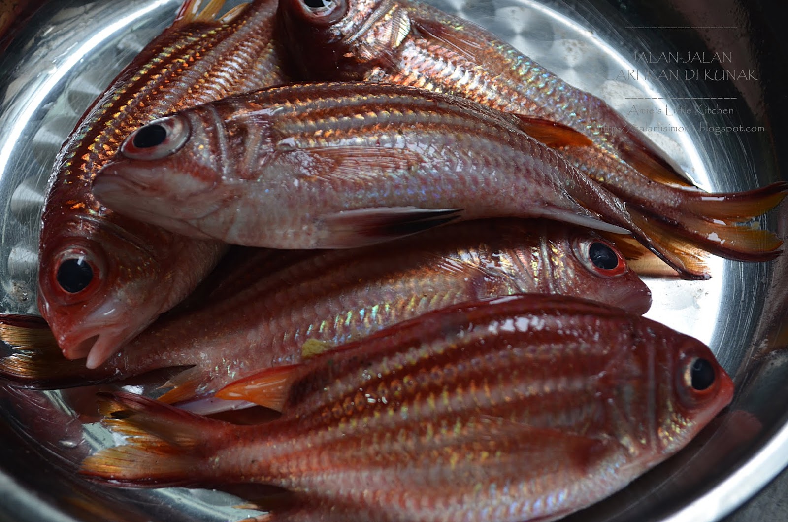 Jalan-Jalan Cari Ikan di Kunak - Amie's Little Kitchen