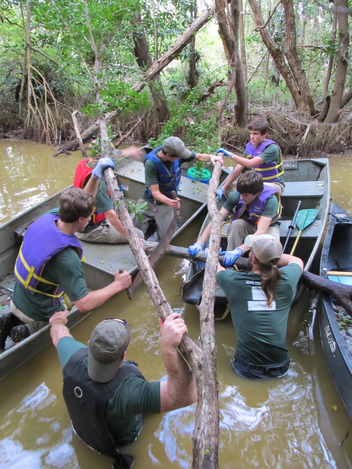 Hawk Mountain Conservation Corps Migrates South: First Encounter with ...