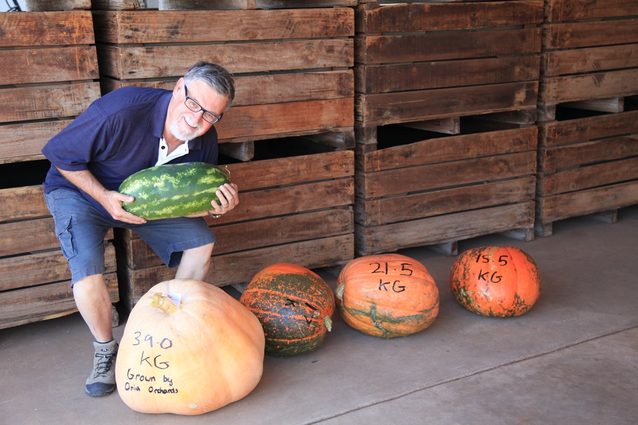 Schoers' Travels: ACROSS THE KIMBERLY: KATHERINE - KUNUNURRA - BROOME