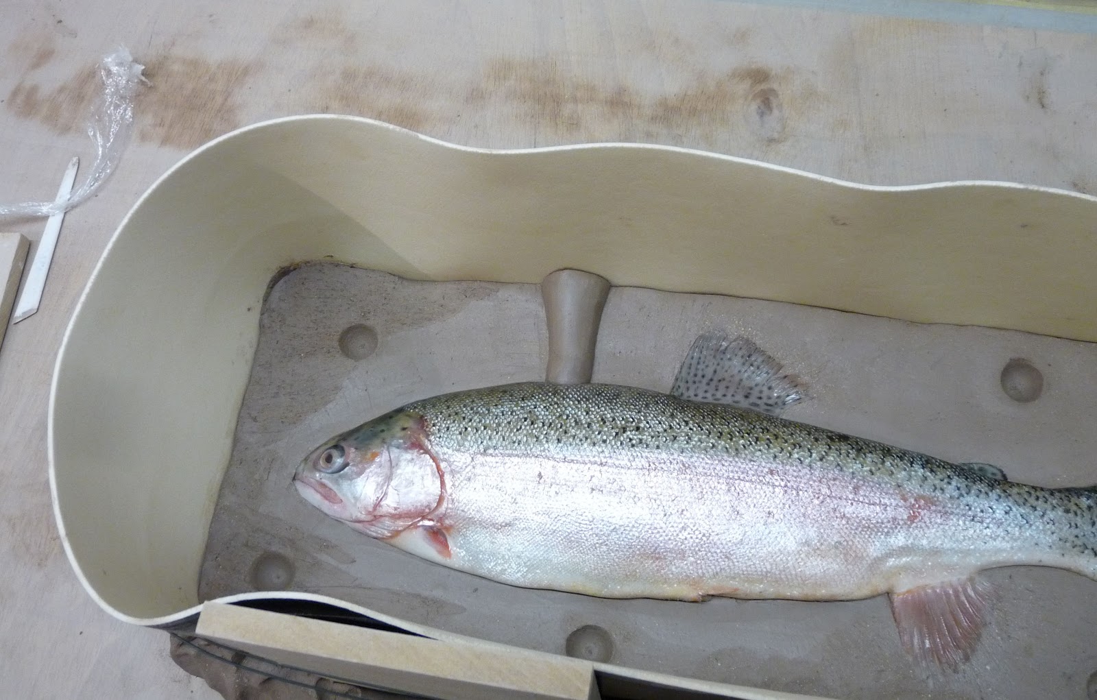 Just Pottering: Making a plaster cast of a fish