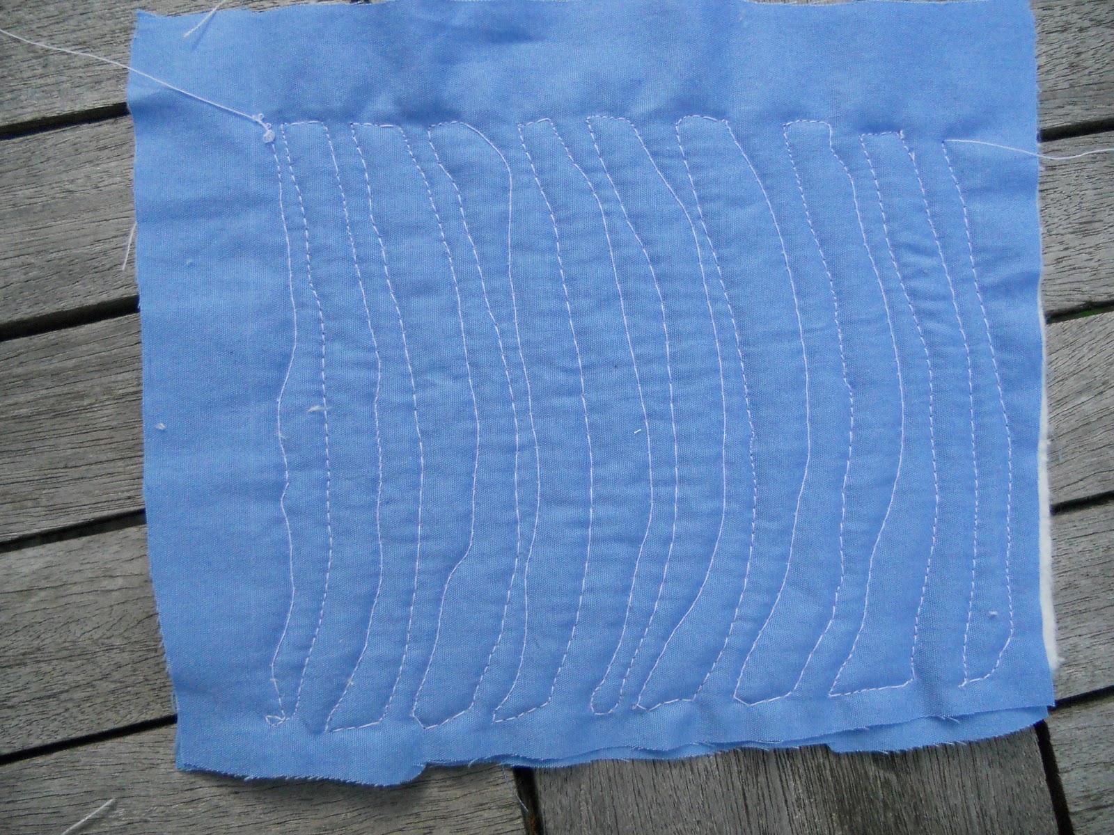 FairyFace Designs: Frogs & Snails, Free Motion practice and other ...