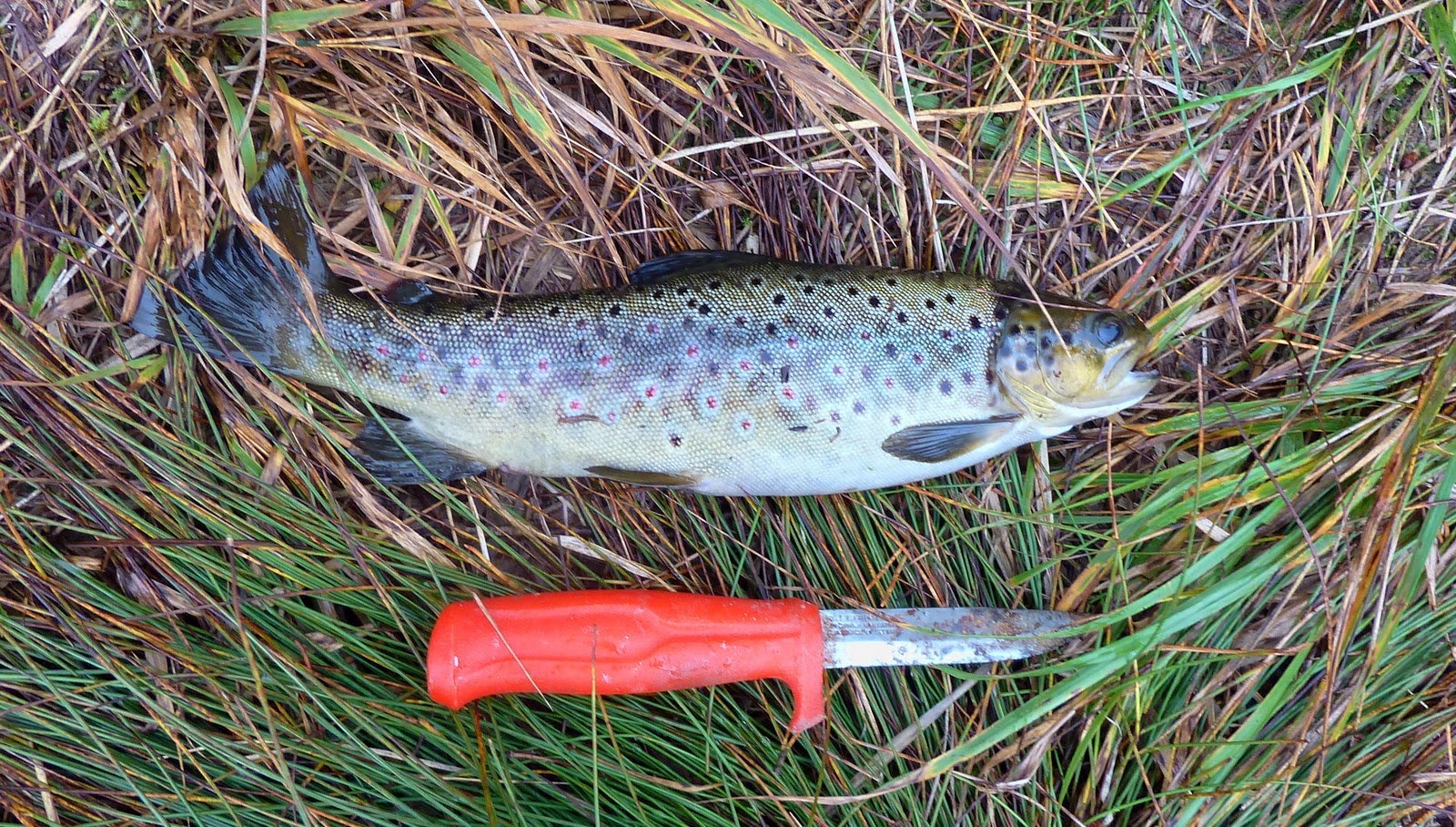 stedet mitt: Til Krokavatnet igjen - 25 september 2011