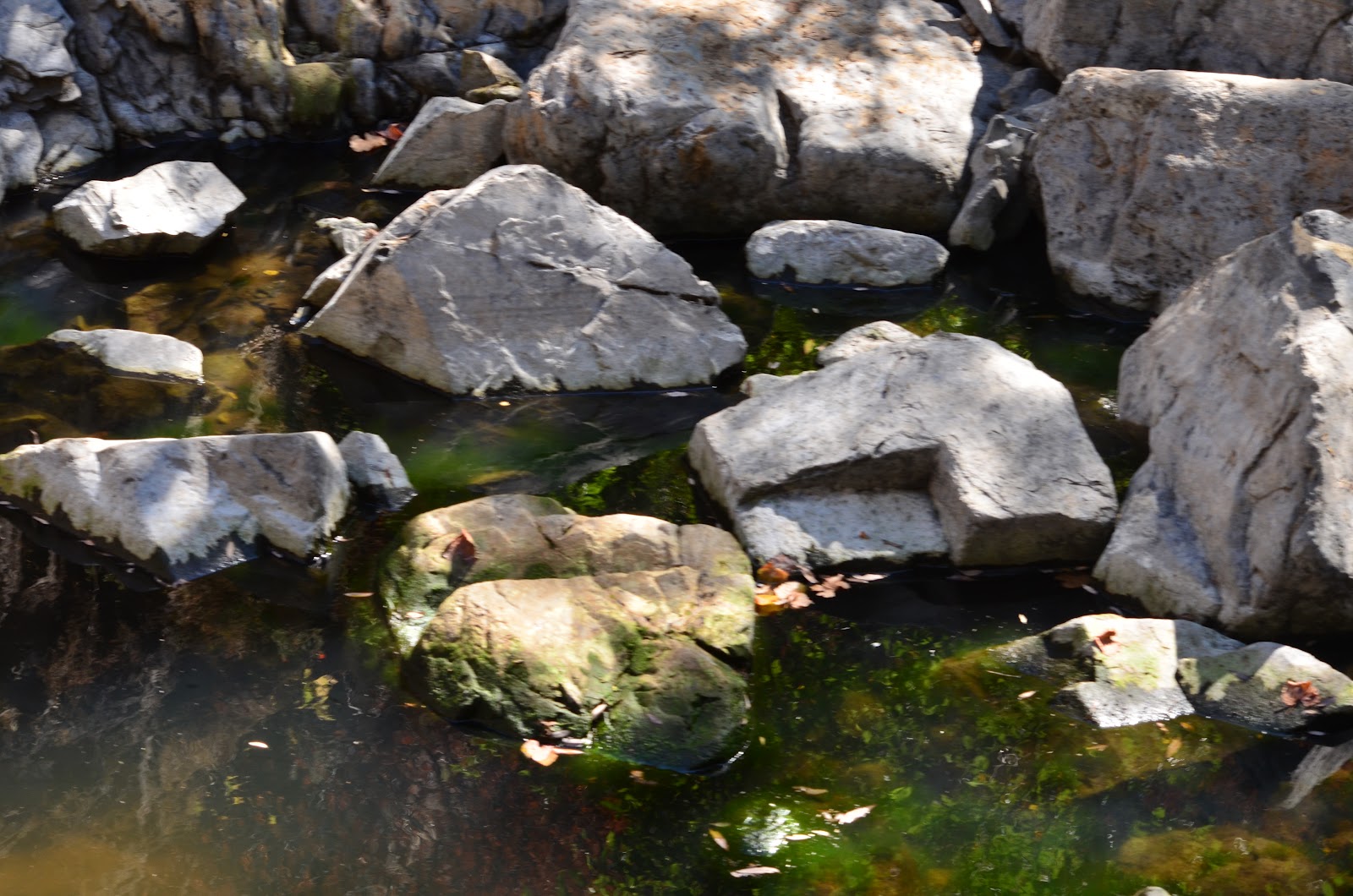 Peachy Hiker: Coloma's Dutch Creek Falls and Johntown Falls