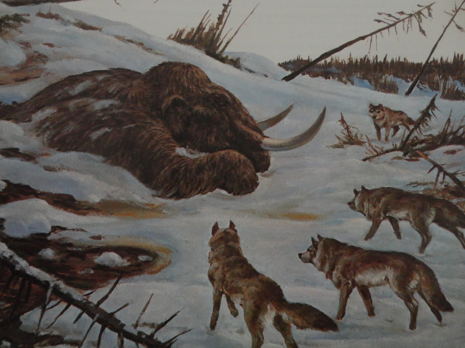 Historiographic: DEATH OF THE MAMMOTH