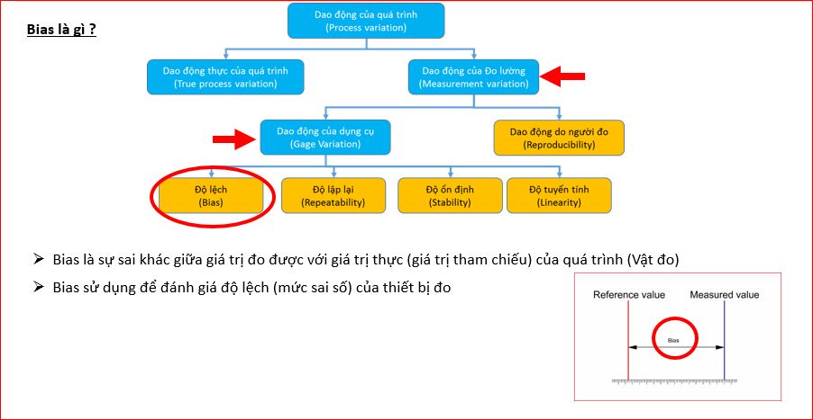 MSA là gì? Khám phá bí mật đằng sau Phân tích Hệ thống Đo lường