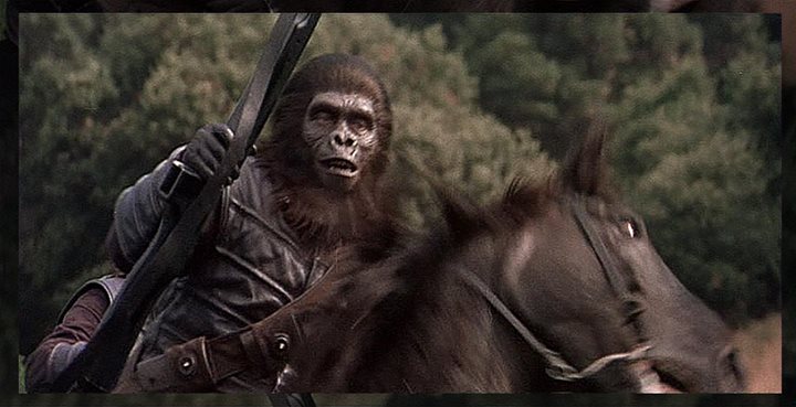 Archives Of The Apes: Planet Of The Apes (1968): The Hunt
