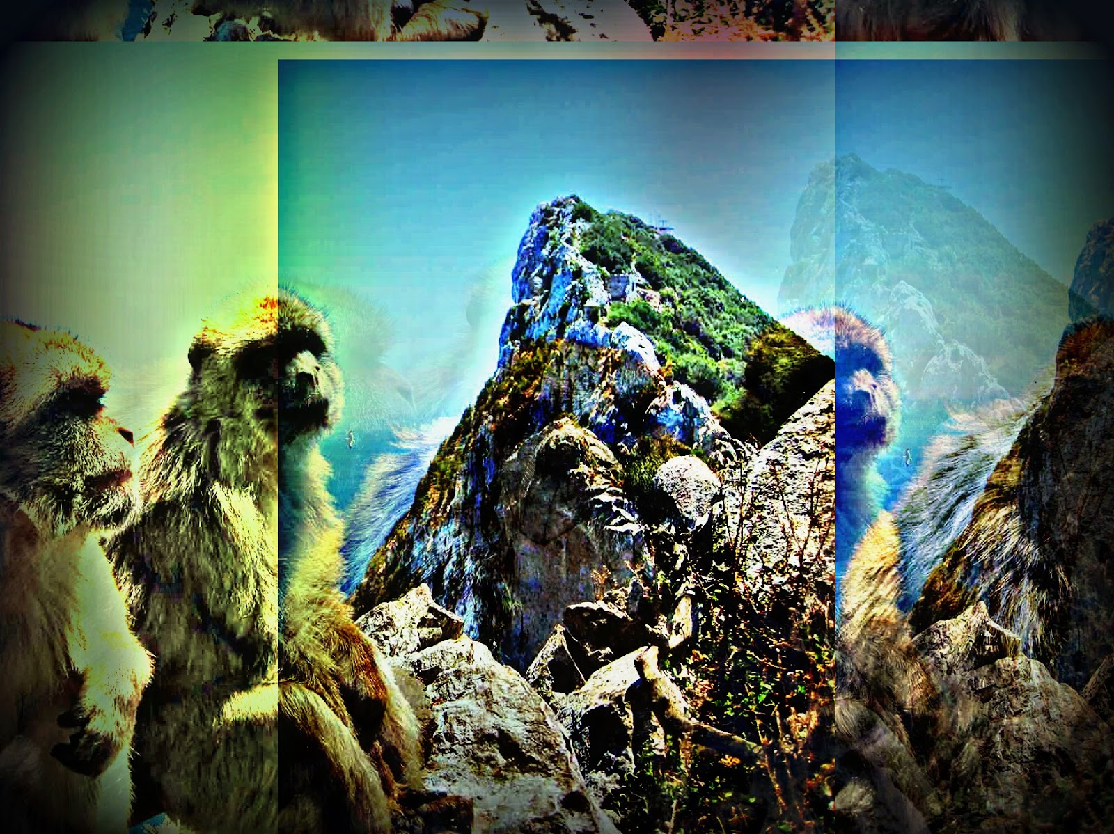 Footless Crow: January 2016