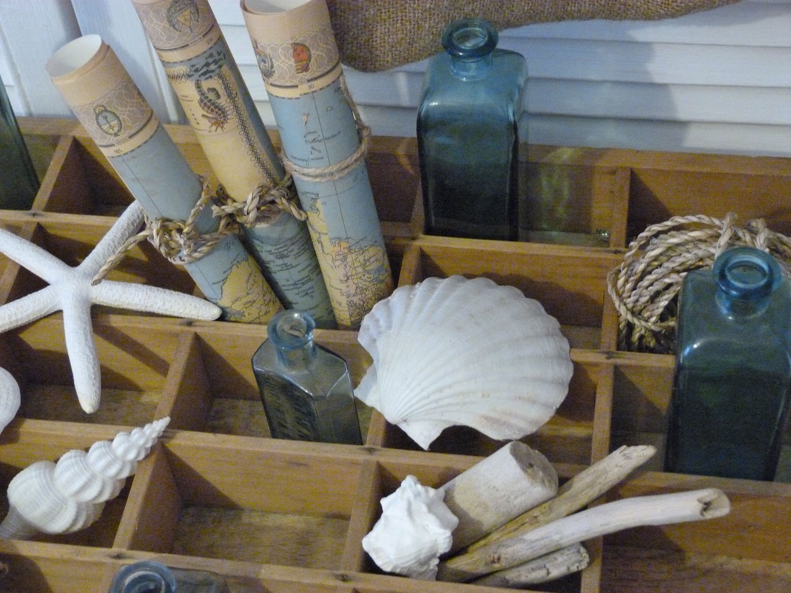 beachcomber: sea treasures