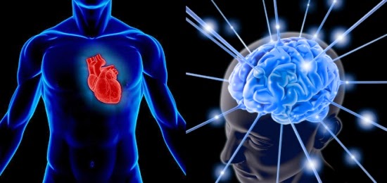 PHILOSOPHIA PAX: 2015