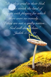 Balanced Living Bible Study: Week 1 - The Book of Judith Study