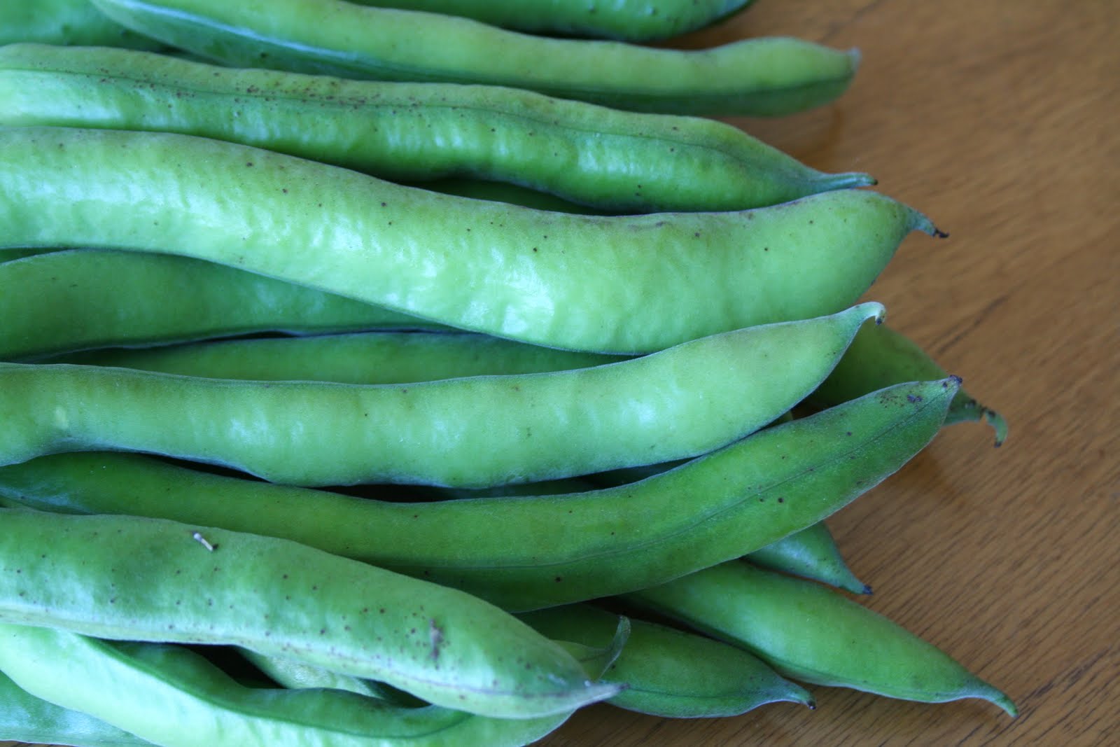 The Freerange Chick: Fava beans on fresh bread